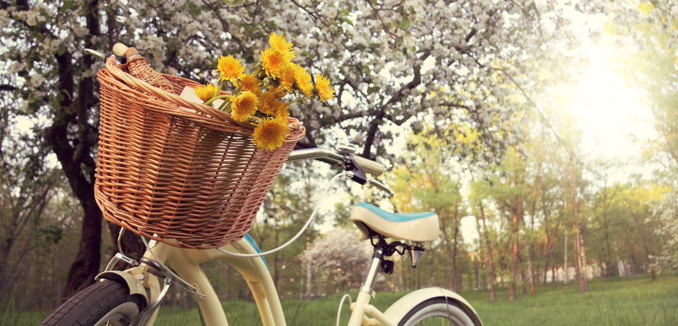 Pohjois-Savon ilmastokuulumiset - Toukokuu 2023 - Hiilineutraali ...